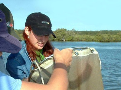 Plankton study